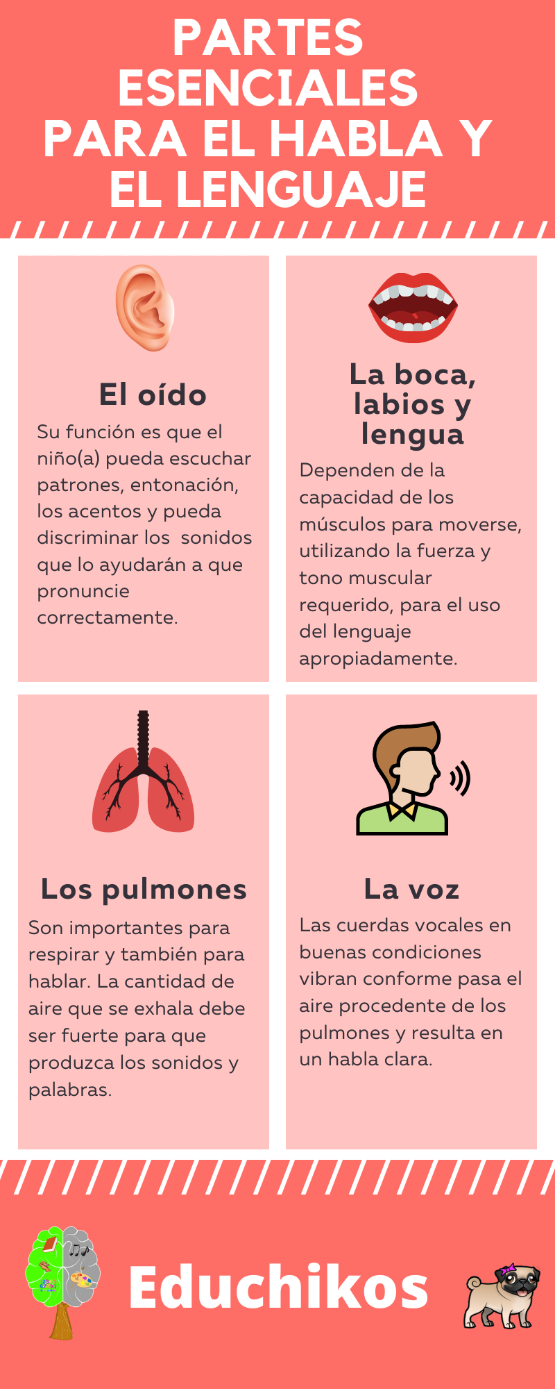 Lo que usualmente no se dice de los problemas de habla y lenguaje en ...